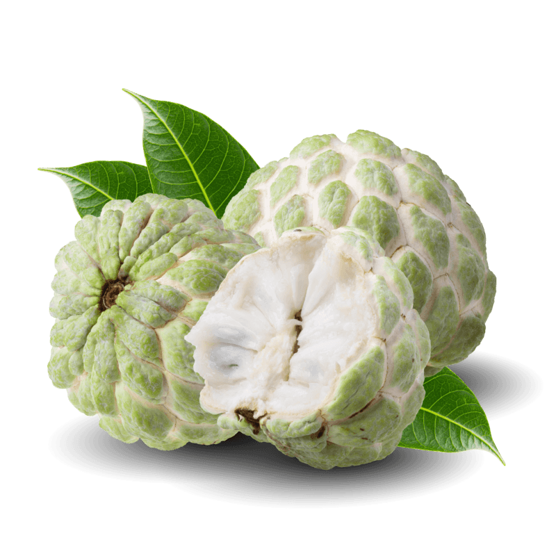Ilama Fruit The Rare Tropical Custard Fruit | Buy Fresh from Gabriel ...
